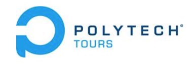 Studizz.fr - Ecole d'ingénieurs Polytechnique de l'Universit...